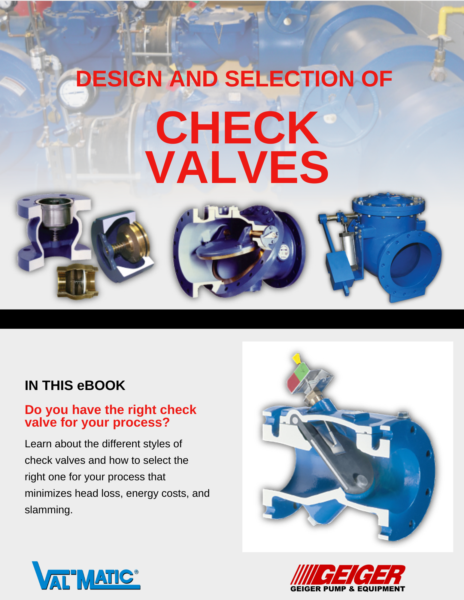 Design and Selection of Check Valves Guide | Geiger Pump